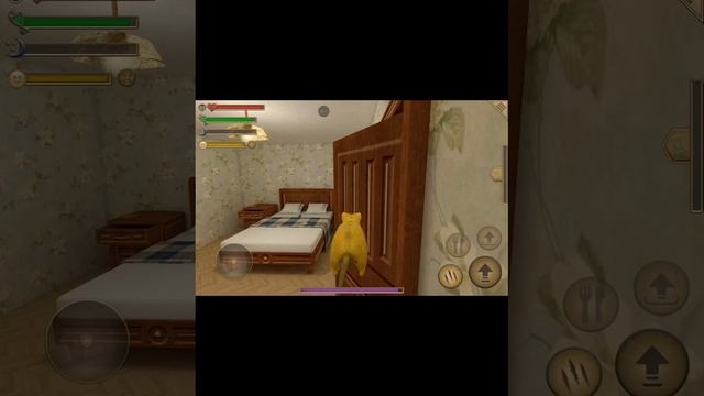 Играю в симулятор мыши за золотую мышь в доме