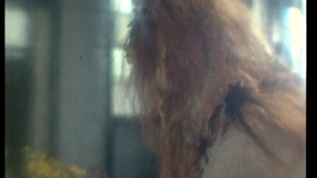 Ольга Зарубина - Целебное зелье