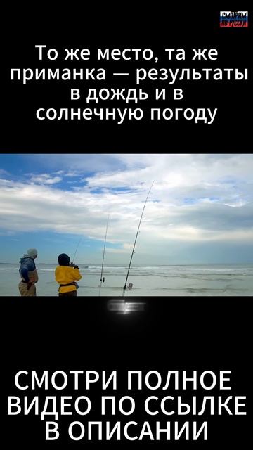 То же место, та же приманка — результаты в дождь и в солнечную погоду ЧАСТЬ 3/9