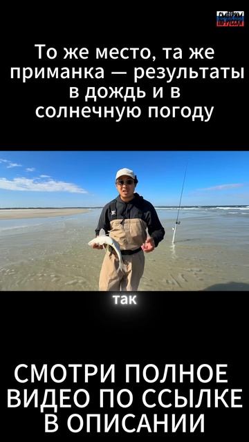То же место, та же приманка — результаты в дождь и в солнечную погоду ЧАСТЬ 2/9