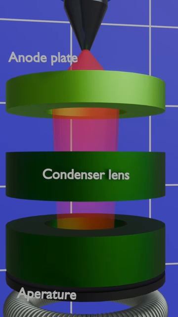 Сканирующая электронная микроскопия / Scanning elctron microscopy