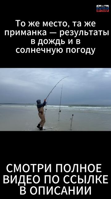То же место, та же приманка — результаты в дождь и в солнечную погоду ЧАСТЬ 4/9