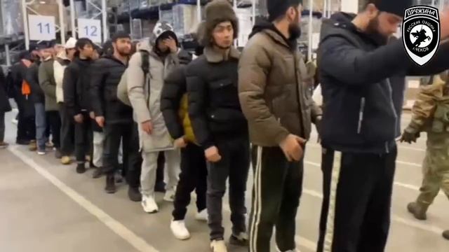 Дружина Русской Общины вскрыла мигрансткий гнойник