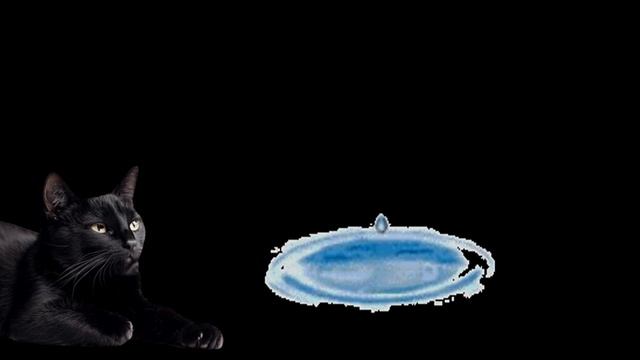 Маленькая капелька. Звуки капли воды