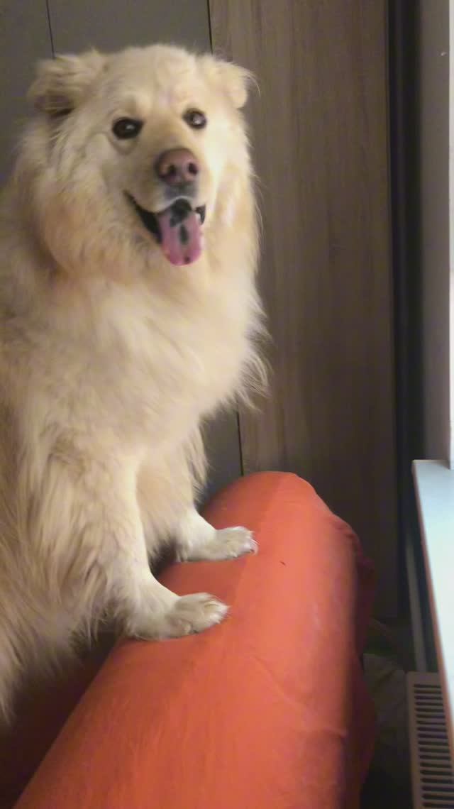 Ричик в радости❓и в грусти❓❤️ ❤️ ❤️