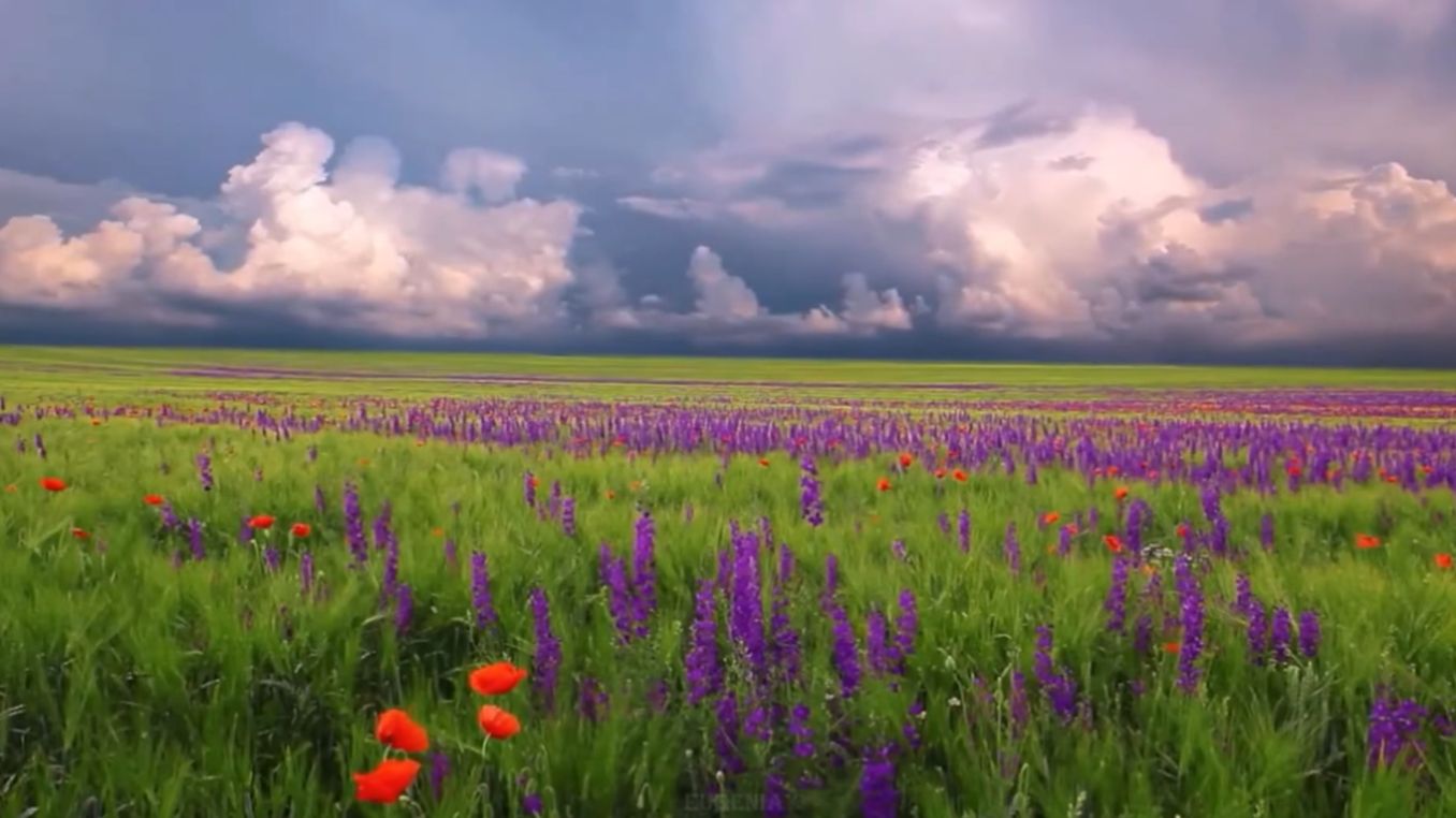 Исаак Шварц. Вальс.  Isaac Schwartz. Waltz