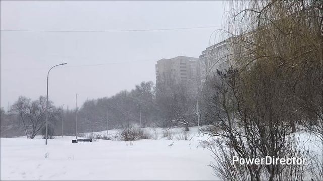 г.Липецк.Моя_прогулка_31.01.26