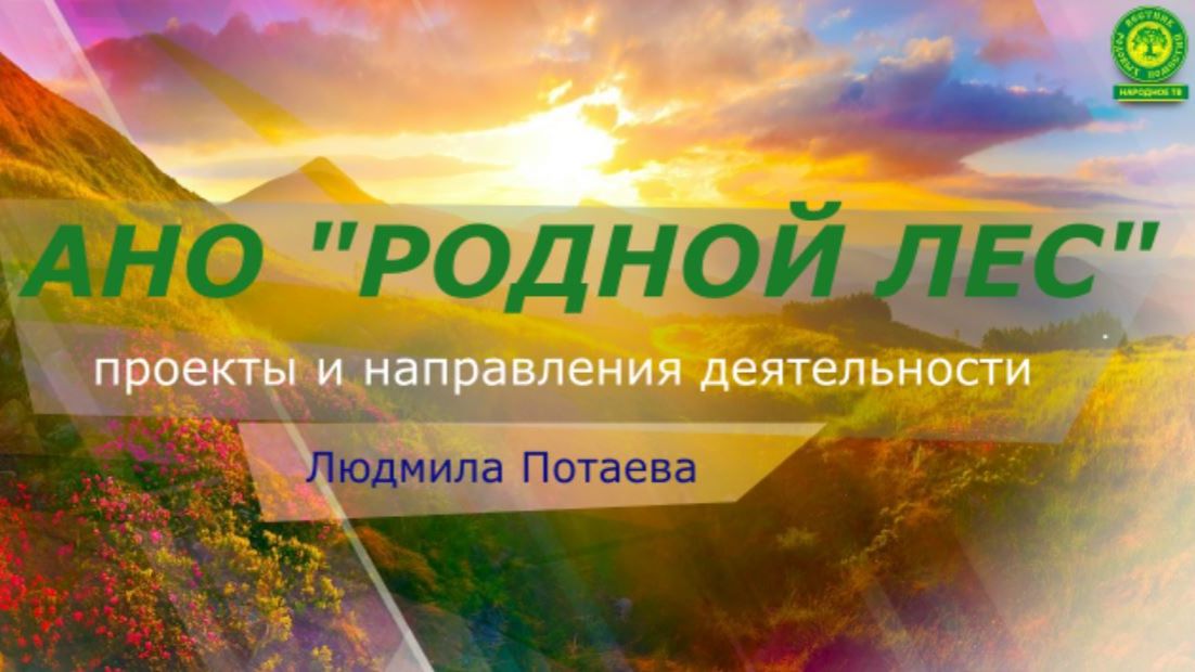 Направления деятельности организации АНО "Родной Лес"