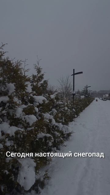 Зима в коттеджном поселке Берег Песочной