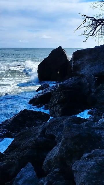 Солнечный февральский полдень в бухте Нового Света. Крым.