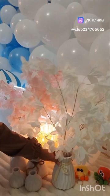 vkclips_20260228023515