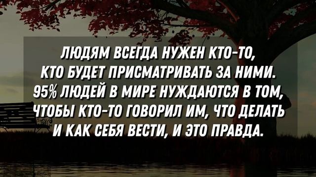 Три ЗОЛОТЫХ качества...Мудрые Мысли