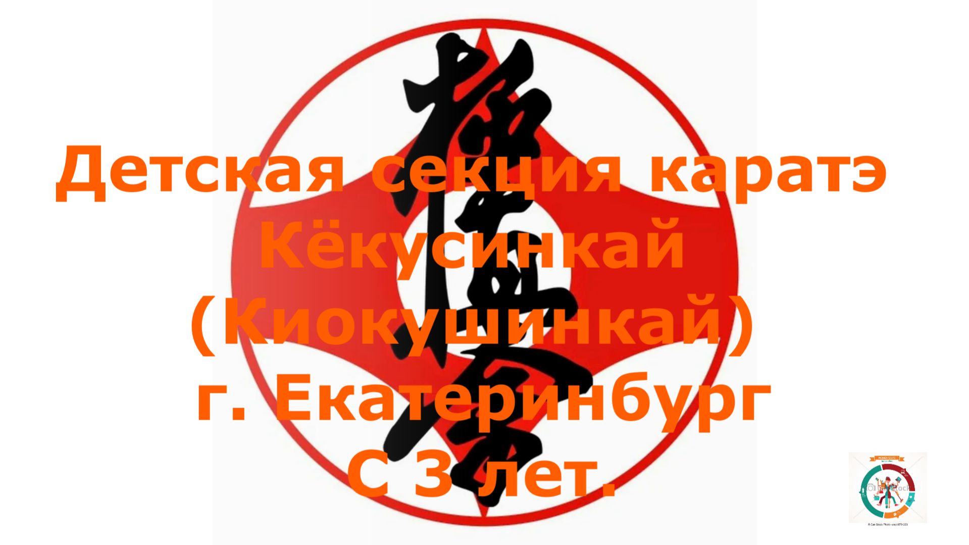 Детская секция каратэ Киокушинкай.Екатеринбург. Зачеты. Требования для получения оранжевого пояса.