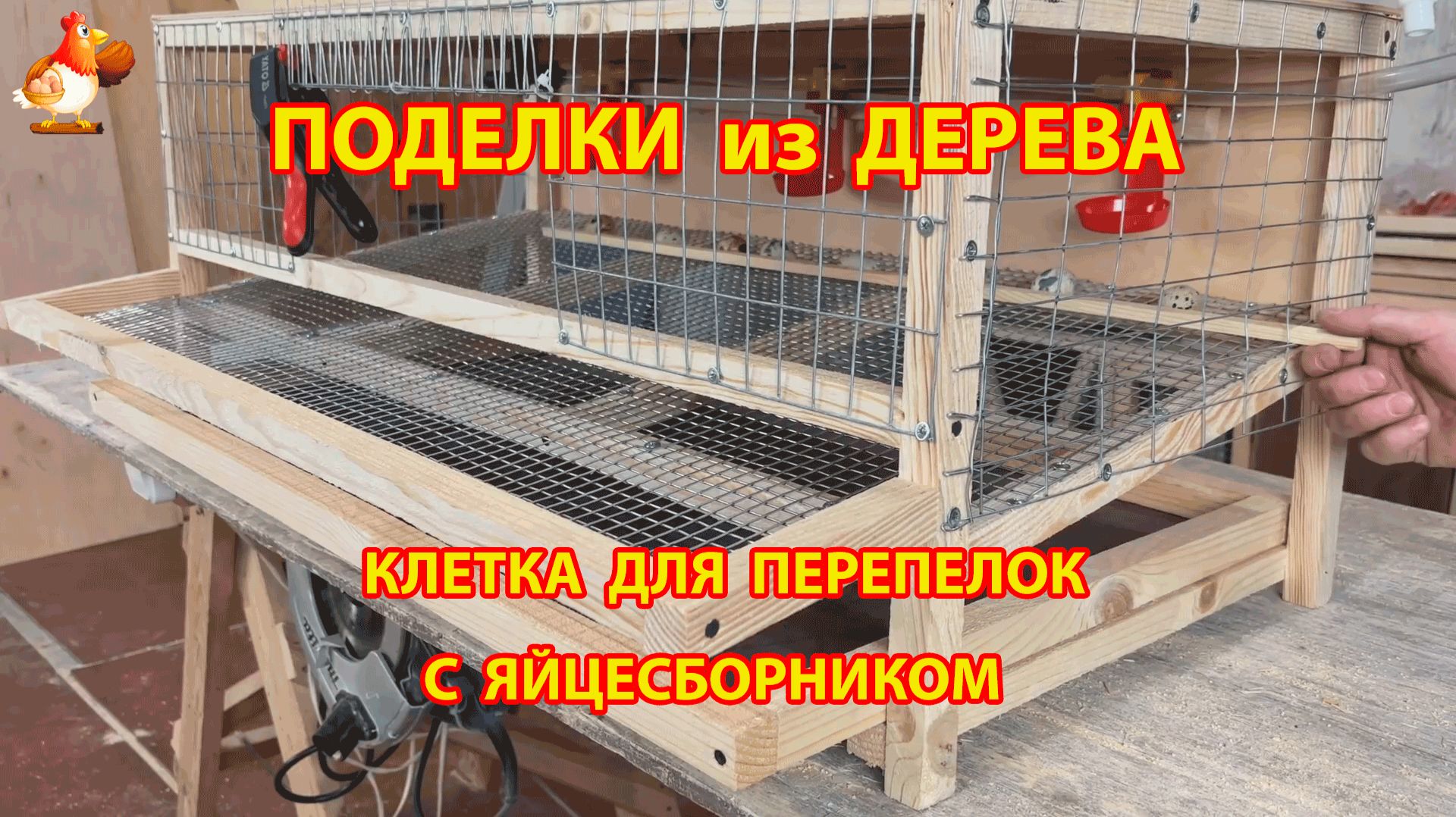 Клетка для перепелов с яйцесборником своими руками как сделать