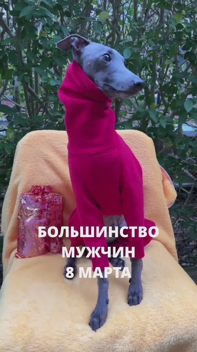 МУЖИКИ 8 марта.