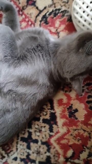 После обеда