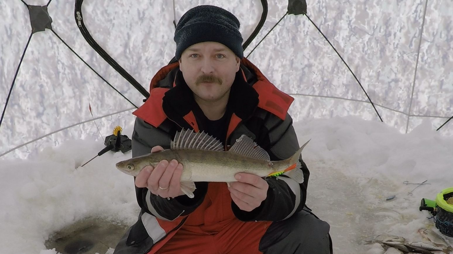 Финский залив 22.02.2026. Судак на балансир, плотва и подлещик