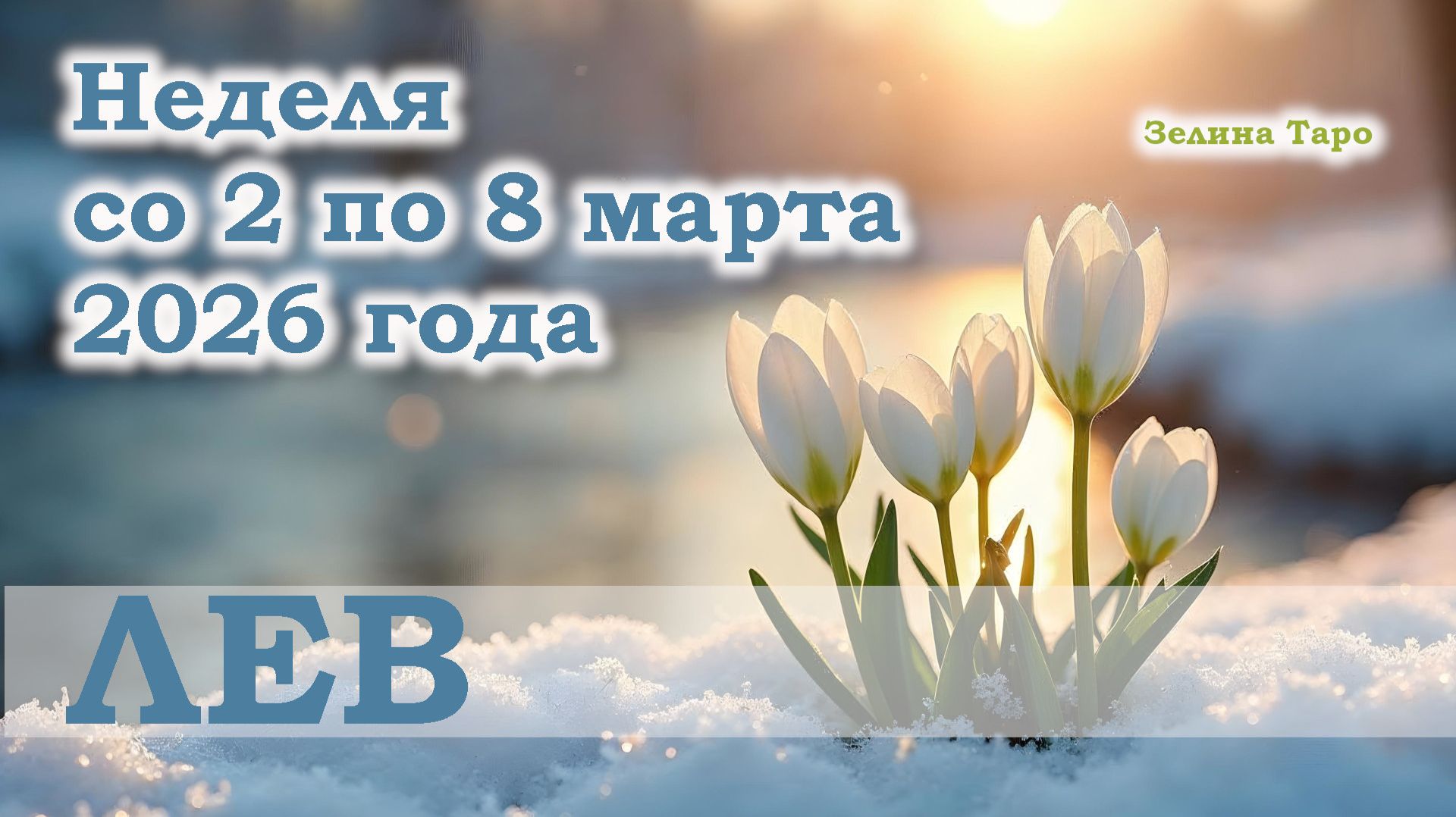 ЛЕВ | ТАРО прогноз на неделю со 2 по 8 марта 2026 года