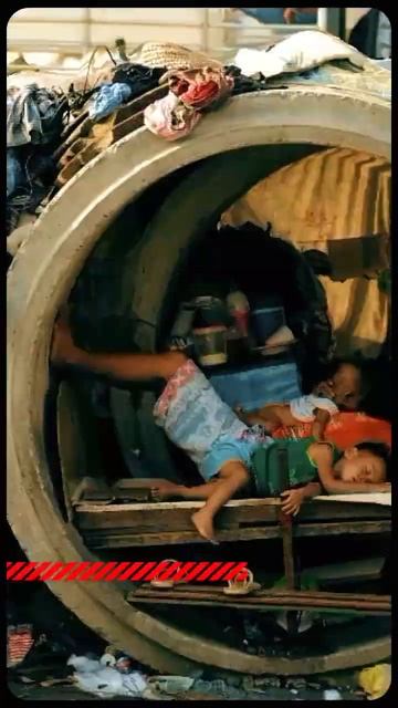 Вы бедные из-за плохой генетики!   Прелести правильного капитализма#4 #shorts