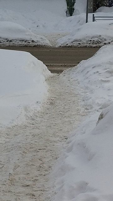 №1575 ул. Белинского. 1 марта 2026 г., 15:14:55 VID_20260301_151402716