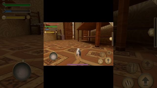 Играю в симулятор мыши за декоративную мышь в доме
