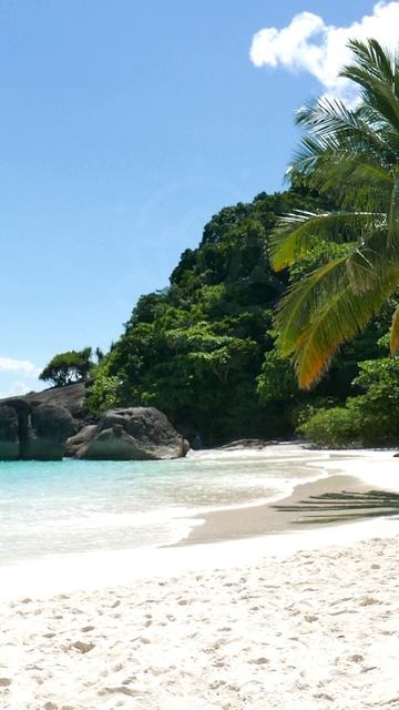 Остановись и послушай ASMR музыку природы 🗻 Сейчас сними стресс и тревого 🌟 60 минут для снятия ст