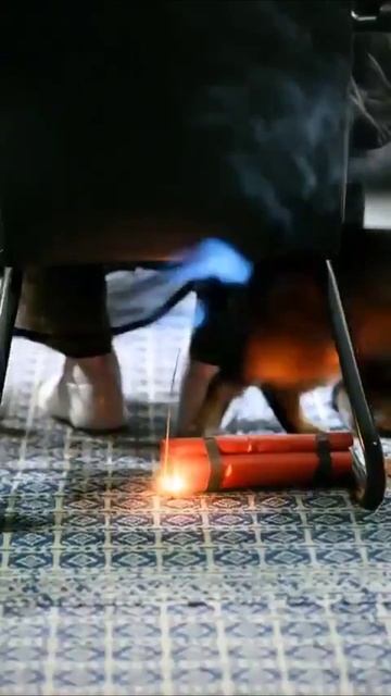 Кошачий спецназ