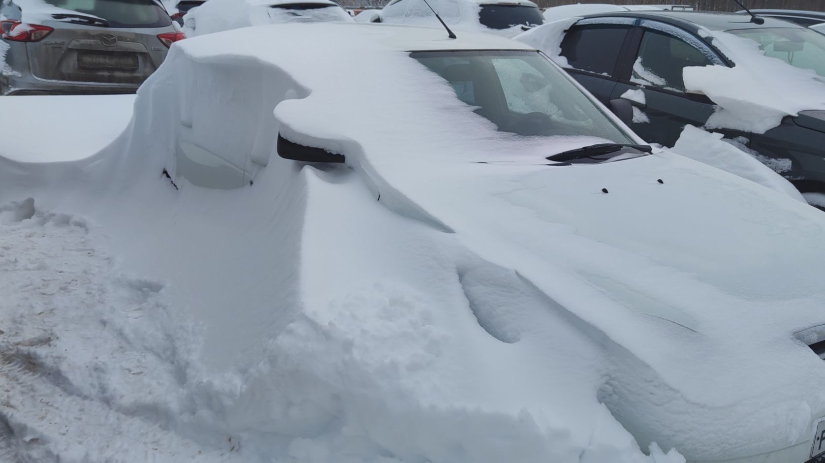 Первый день весны