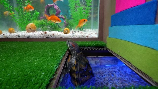 🐹 Побег из лабиринта в бассейне с хомяком 🐹🌈