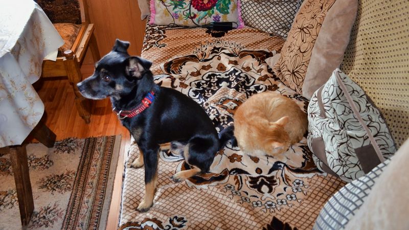 Красный Бор 7 июнь 2021 встреча у Ирины