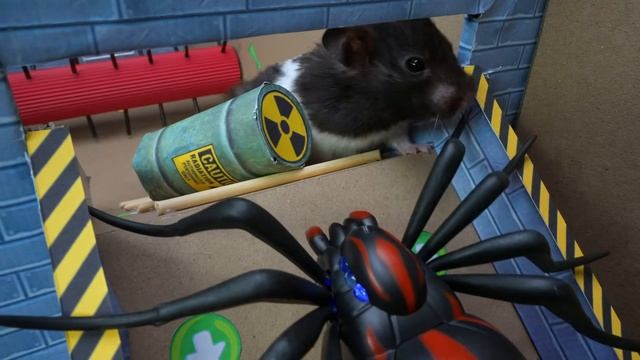 🐹 Побег из тюрьмы в игре Hamster: эпическая битва с боссом