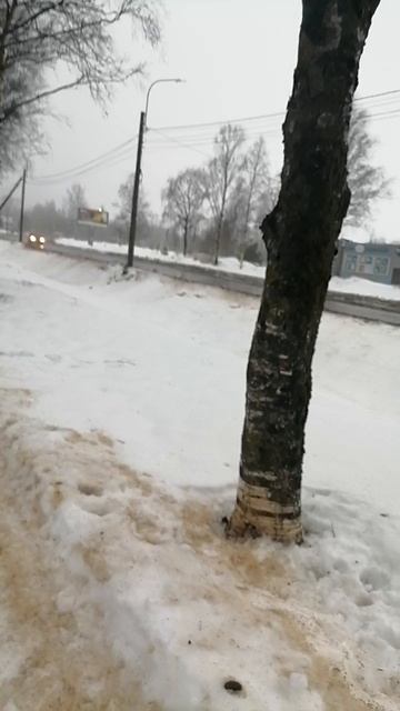 Len. Oblast VID_20260228_082530