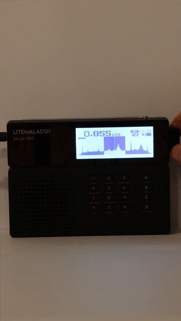 Радиоприёмник LiteMalaDSP MLite-880