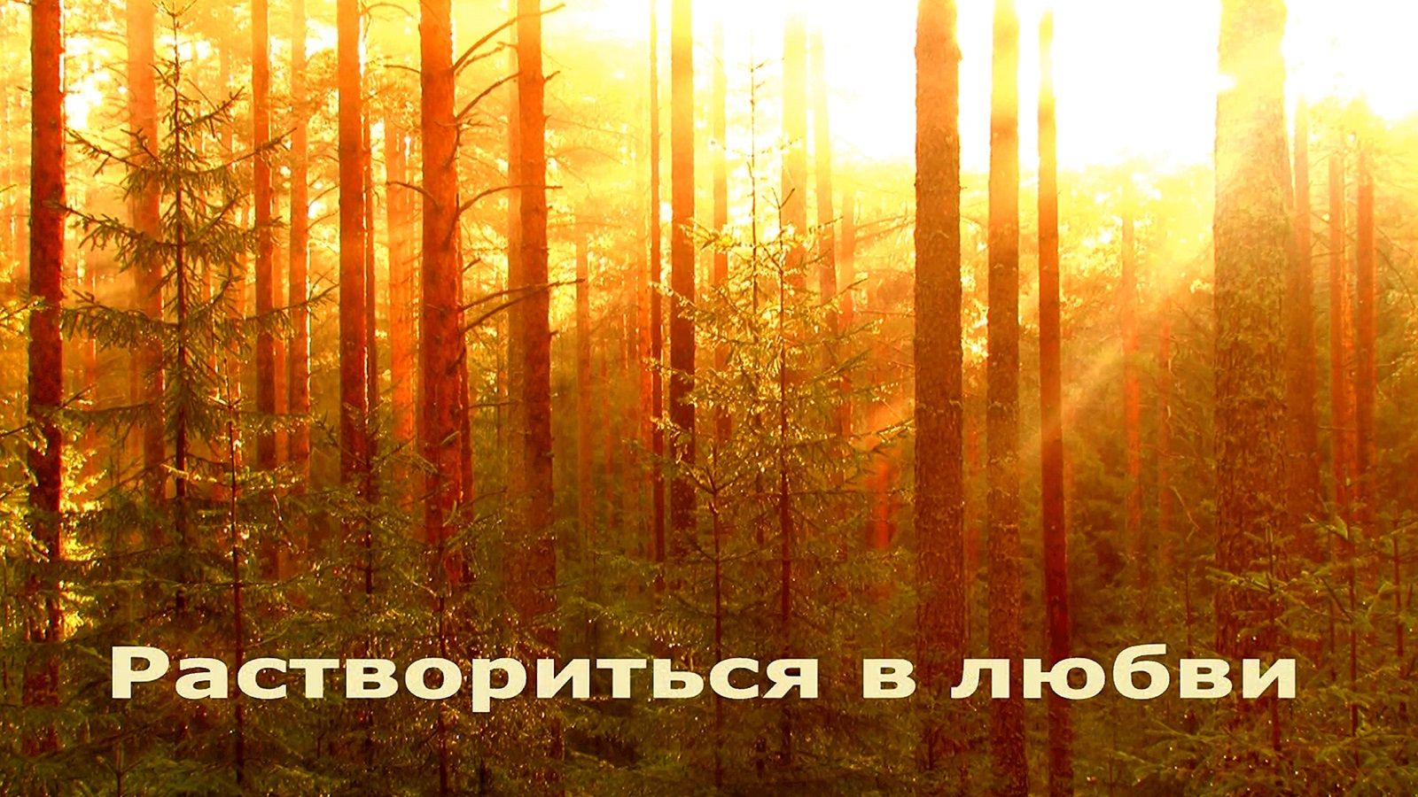 РАСТВОРИТЬСЯ В ЛЮБВИ. Зайнеев (Rem_4k)