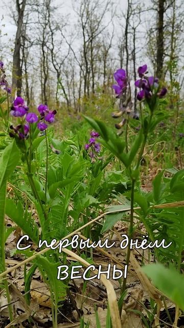 Мы этого дождались