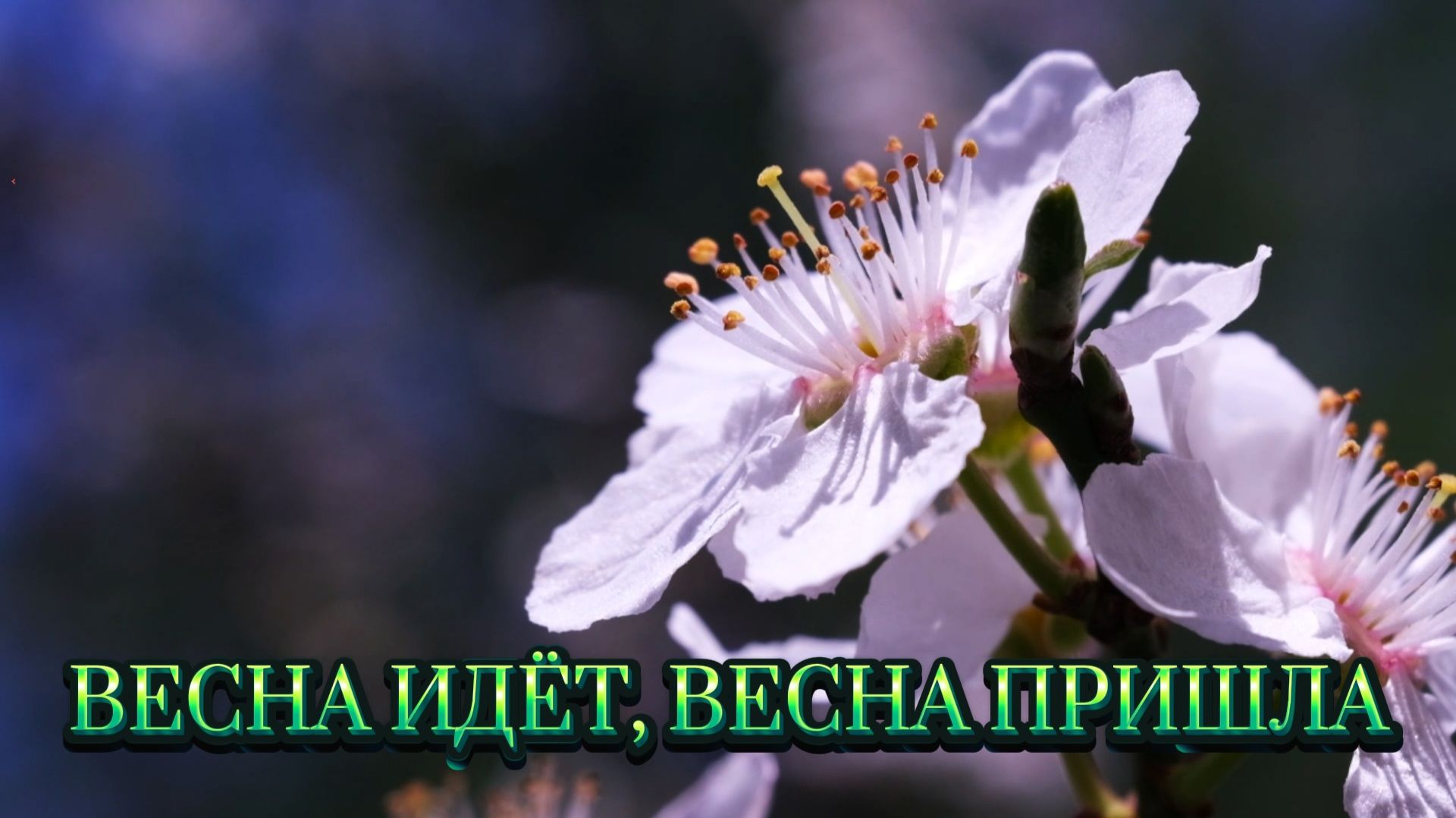 Empire_N (Agabekyan Nairui) - ВЕСНА ИДЁТ, ВЕСНА ПРИШЛА, 2026