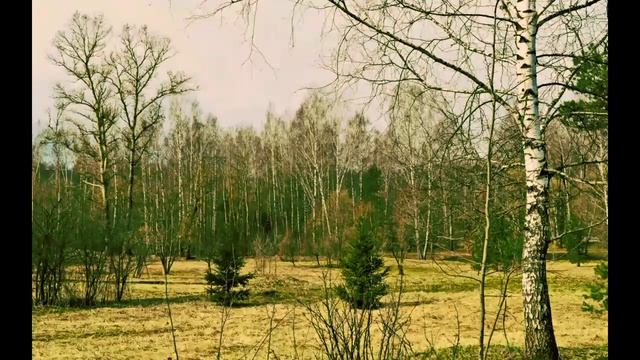 Песнопения Великого поста Душе моя,восстань, что спиши...