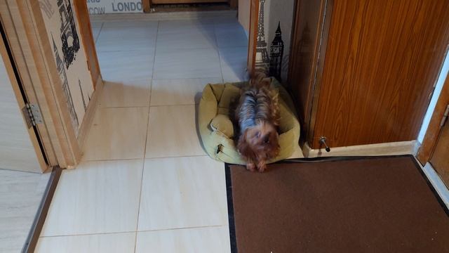 Менеджер по продажам