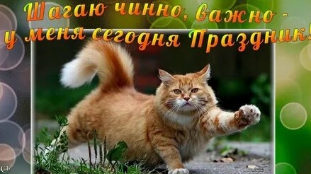 Мурчащий праздником. С днём кошек. Самая лучшая музыкальная открытка.