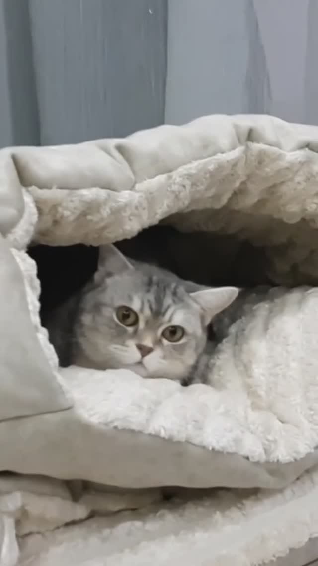 Теплая постелька для домашних питомцев