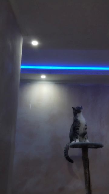 Пируэты на шесте