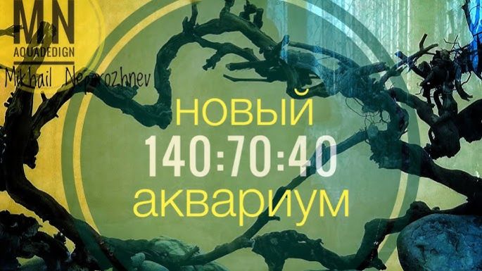 Бюджетный аквариум на 400 литров и его содержимое