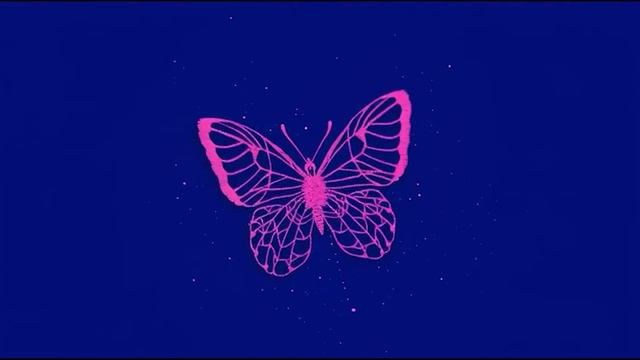 бабочка 03_encoded