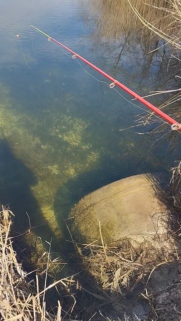 мини-рыбалка