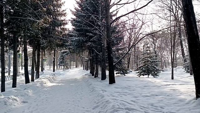 Последние Февральские денёчки