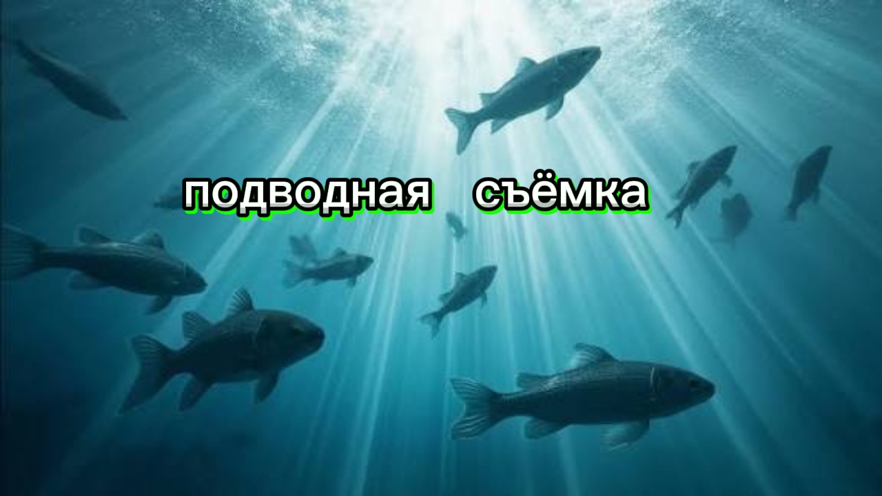 ПОДВОДНАЯ СЪЁМКА РЫБЫ.