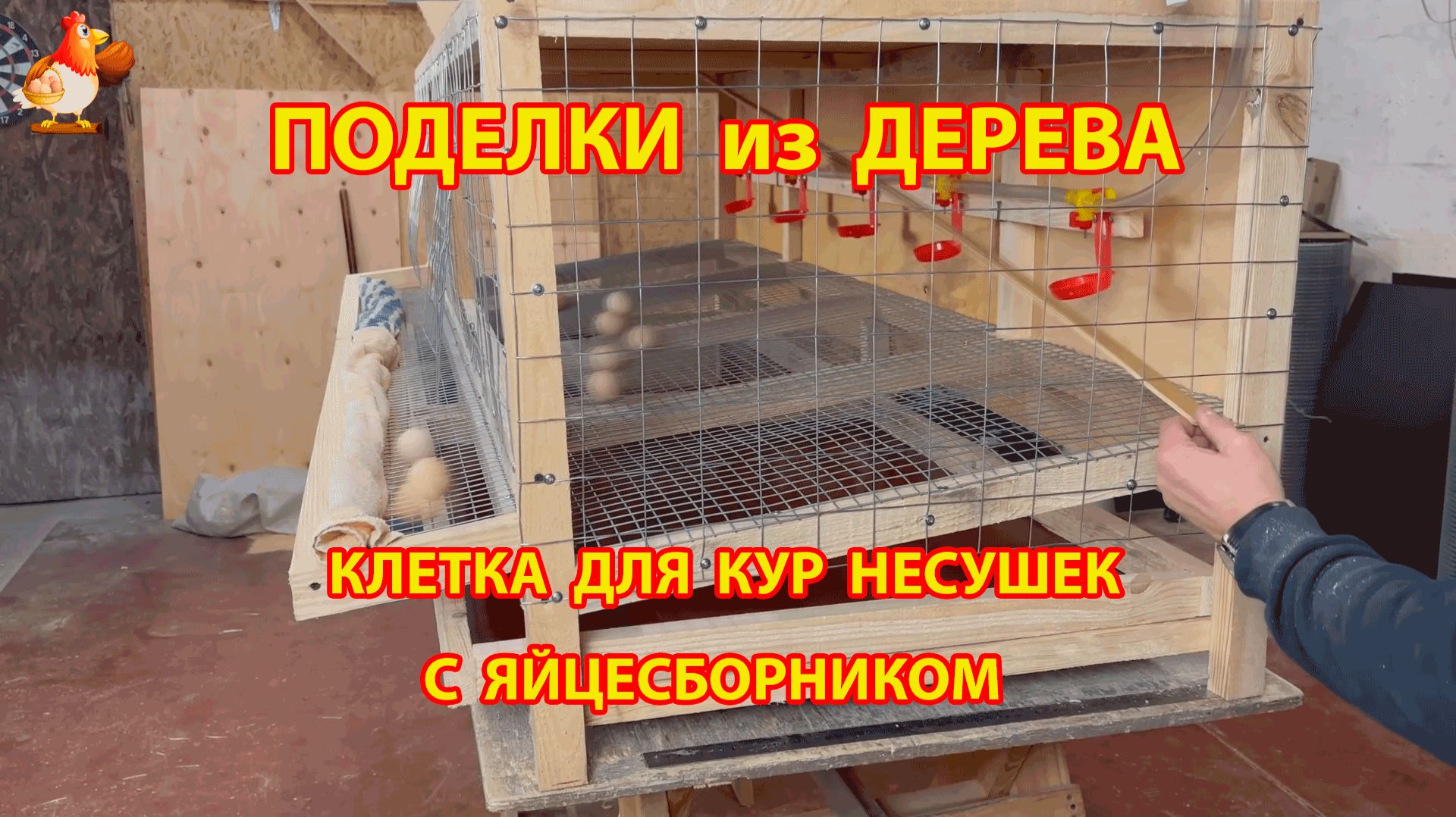 Клетка для кур несушек с яйцесборником своими руками как сделать
