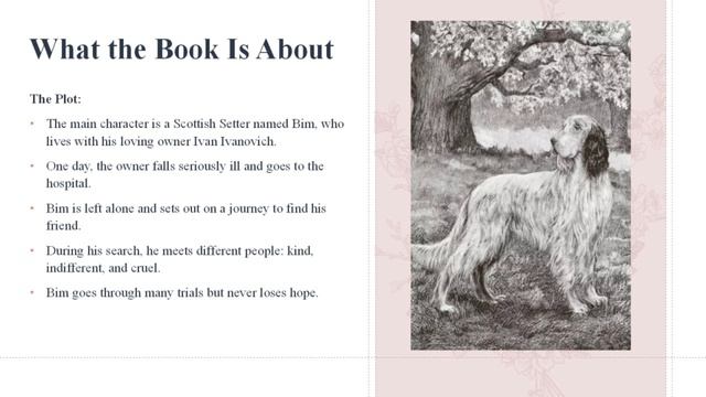 Александра Шувалова рассказывает о своей любимой книге