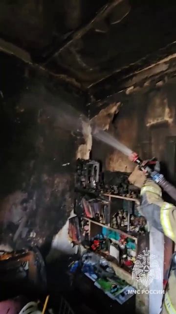 В Макеевке на пожаре погибли два человека