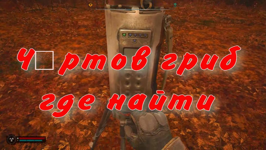 сталкер 2 чёртов гриб где найи артефакт рыжий лес
